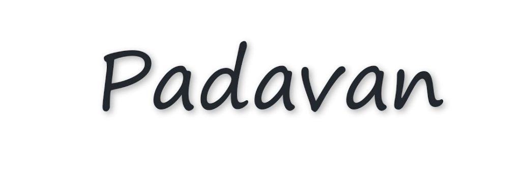 Padavan V2Ray脚本 – Pizza