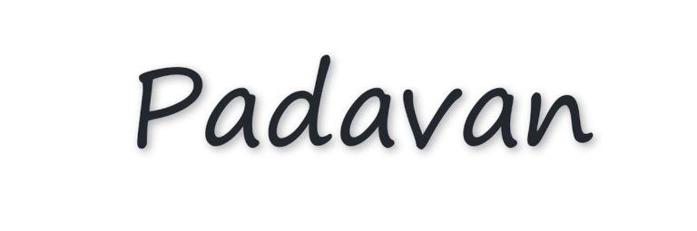 Padavan V2Ray脚本 – Pizza